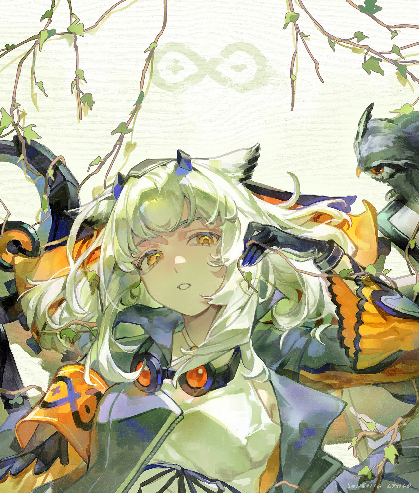 Safebooru - 1girl animal ears arknights bird black jacket dress feather hair grey hair highres ...