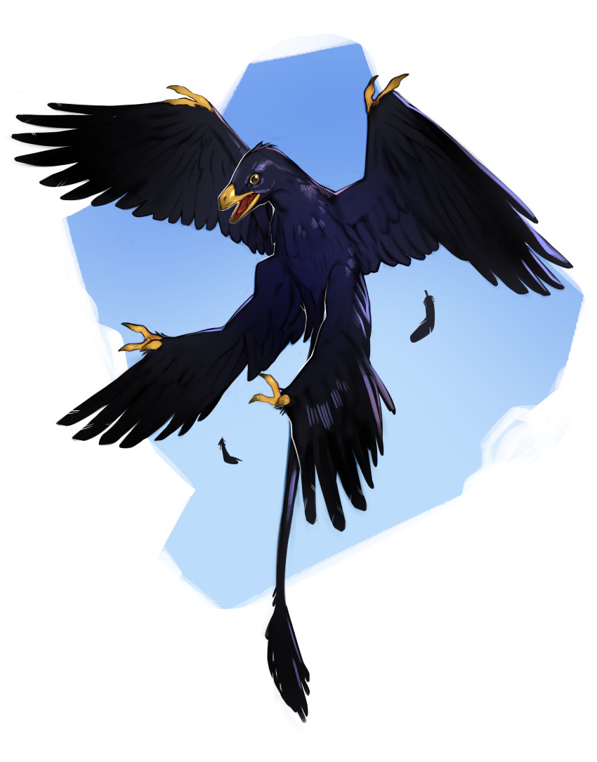 Safebooru - absurdres animal focus beak bird black feathers black tail combos & doodles ...