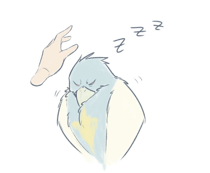 Safebooru - alcor (little witch academia) animal focus bird crow little ...