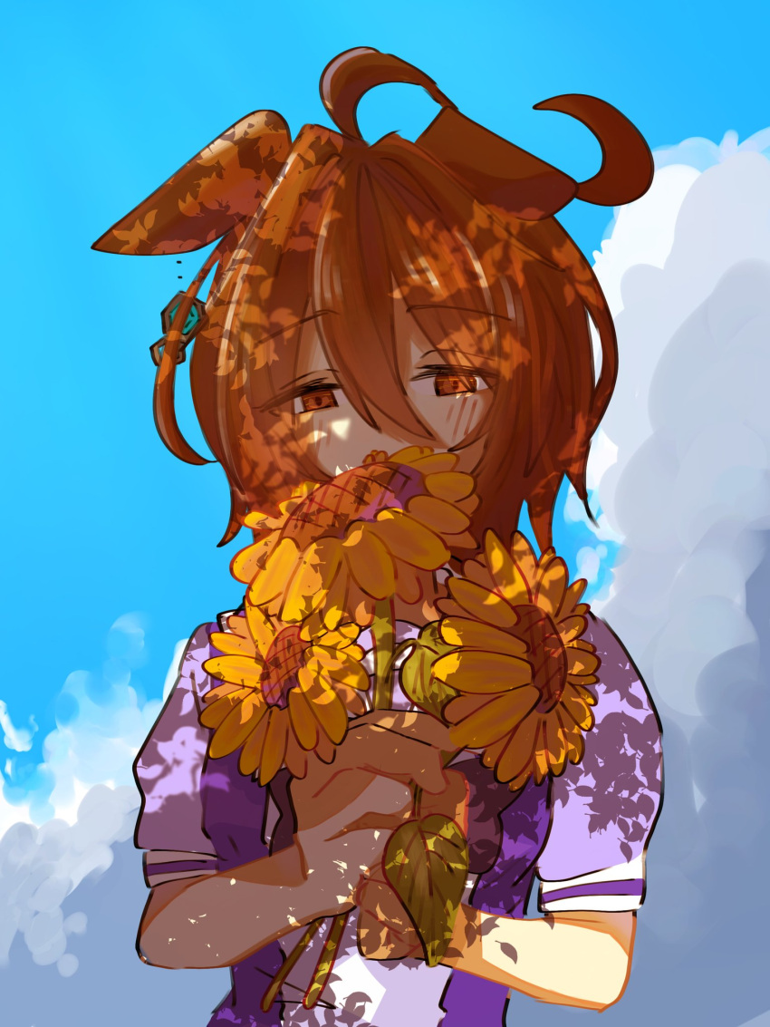 Safebooru - 1girl agnes tachyon (umamusume) ahoge animal ears blush bouquet breasts brown hair ...