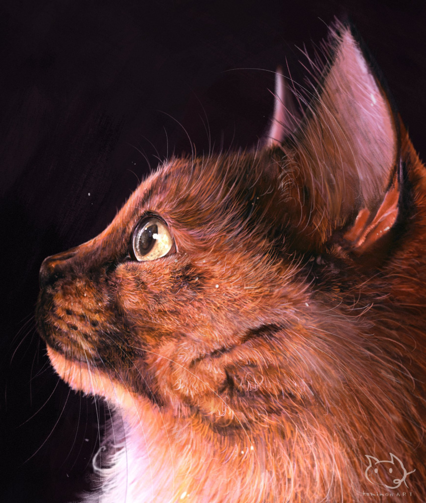 Safebooru - animal animal ears animal focus artist name black background brown cat cat cat ears ...