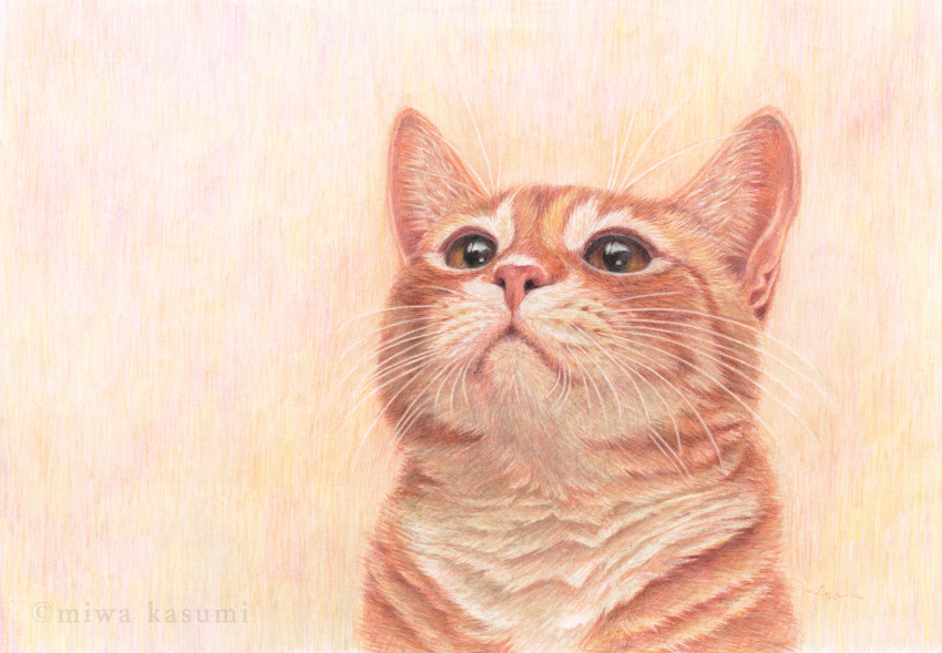 Safebooru - absurdres animal animal ears animal focus cat cat ears ...