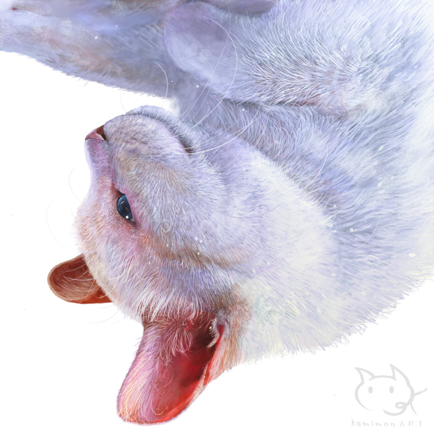 Safebooru - animal animal ears animal focus artist name cat cat ears closed mouth highres ...