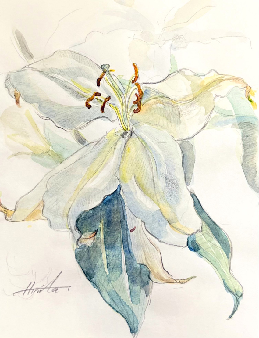 Safebooru - artist name flower highres hinata orcat leaf no humans ...