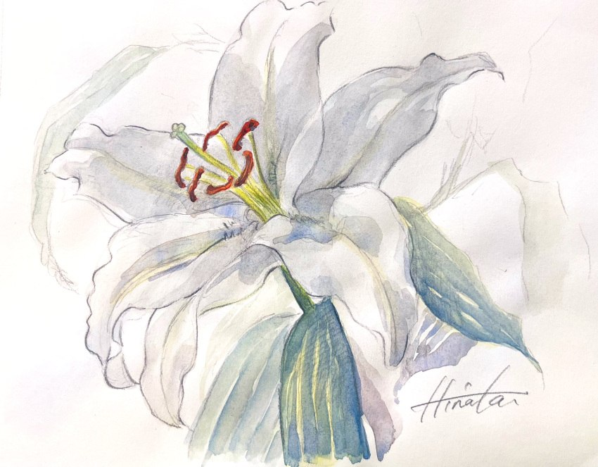 Safebooru - artist name flower highres hinata orcat leaf no humans ...