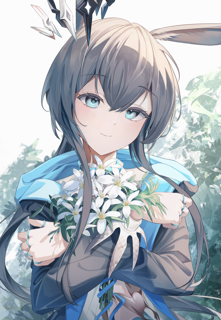 Safebooru - 1girl absurdres amiya (arknights) animal ears arknights black jacket blue eyes brown ...