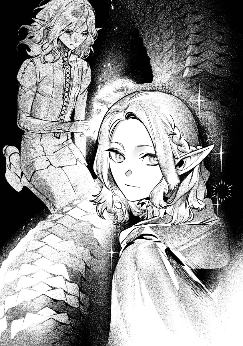 Safebooru - 2boys cloak dungeon meshi elf gapamopa greyscale half up braid highres hood hooded ...