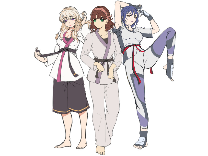 Safebooru - 3girls absurdres dougi feet fighting game highres karate ...