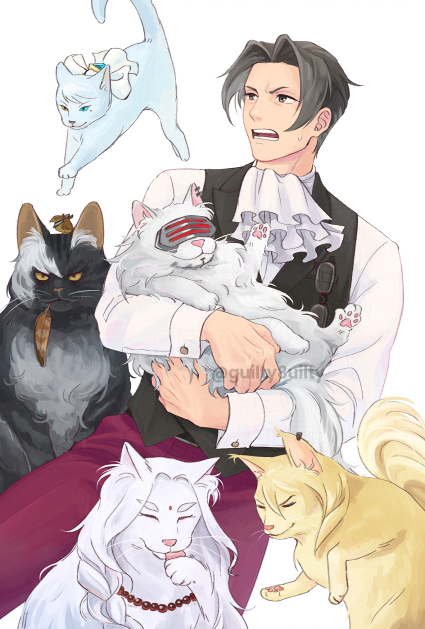 Safebooru - 1boy ace attorney animal artist name ascot black vest cat grey eyes grey hair ...
