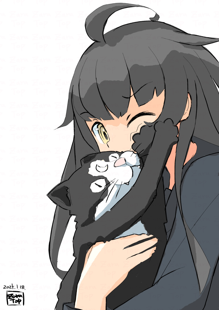 Safebooru - 1girl ahoge black hair black sailor collar black shirt cat ...