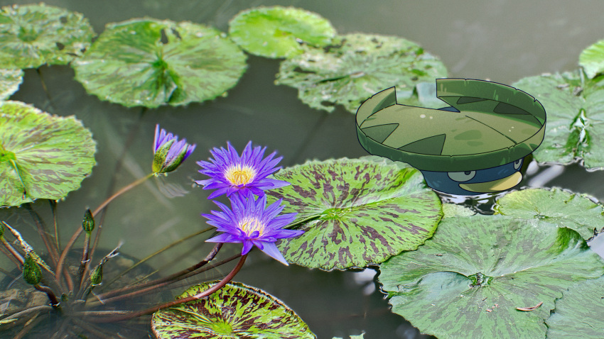 Safebooru - absurdres closed mouth flower highres lily pad lotad nature ...
