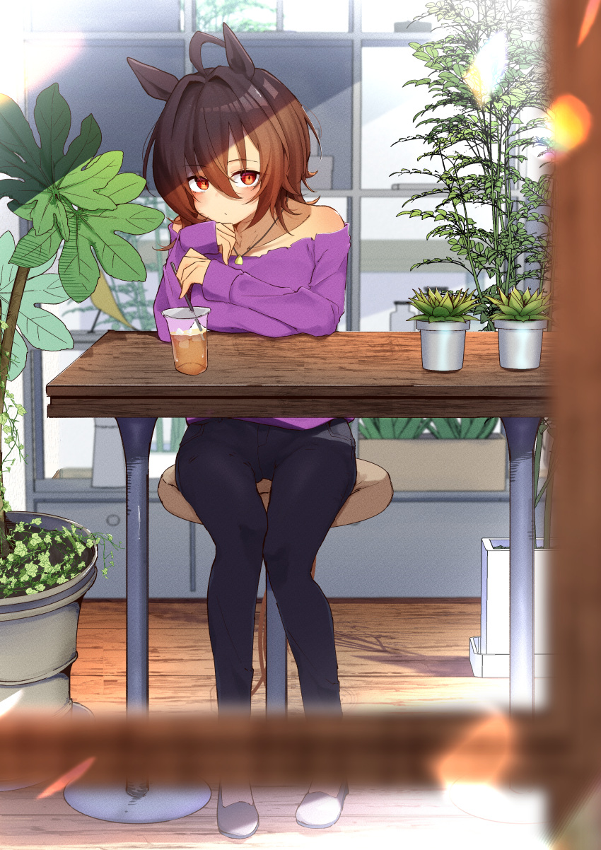 Safebooru - 1girl absurdres agnes tachyon (umamusume) ahoge animal ears black pants blurry ...