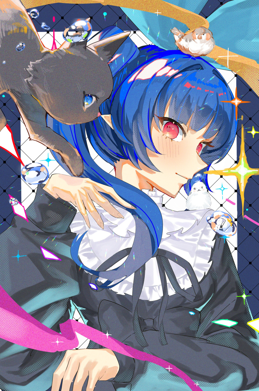 Safebooru - 1girl absurdres bird black dress black ribbon blue eyes blue hair blush cat dress ...