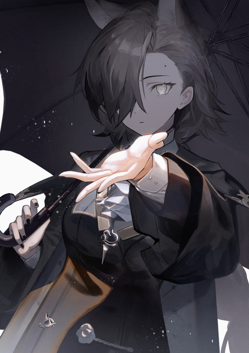 Safebooru - 1girl absurdres animal ear fluff animal ears arknights black dress black jacket ...