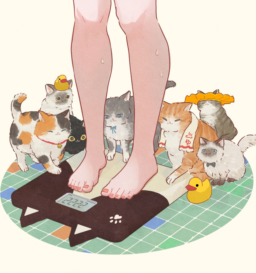 Safebooru - 1girl :3 absurdres animal animal focus bathroom black cat calico cat cat cat tail ...