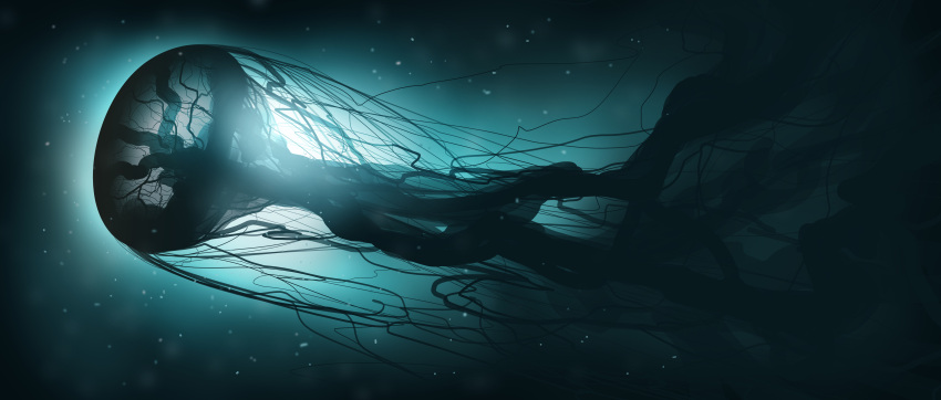 Safebooru - absurdres animal animal focus backlighting dark gracile ...