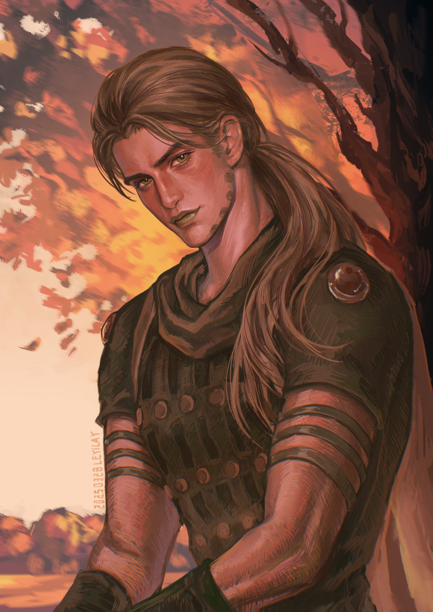 Safebooru - 1boy absurdres beard black shirt brown cape brown hair cape facial hair grey lips ...