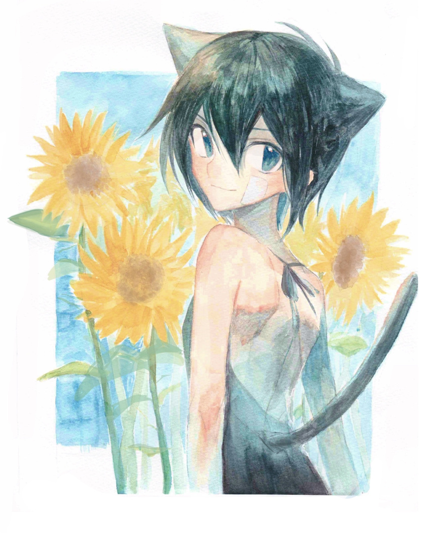 Safebooru - 1boy animal ears aoyagi ritsuka back backless outfit black hair blue eyes cat boy ...