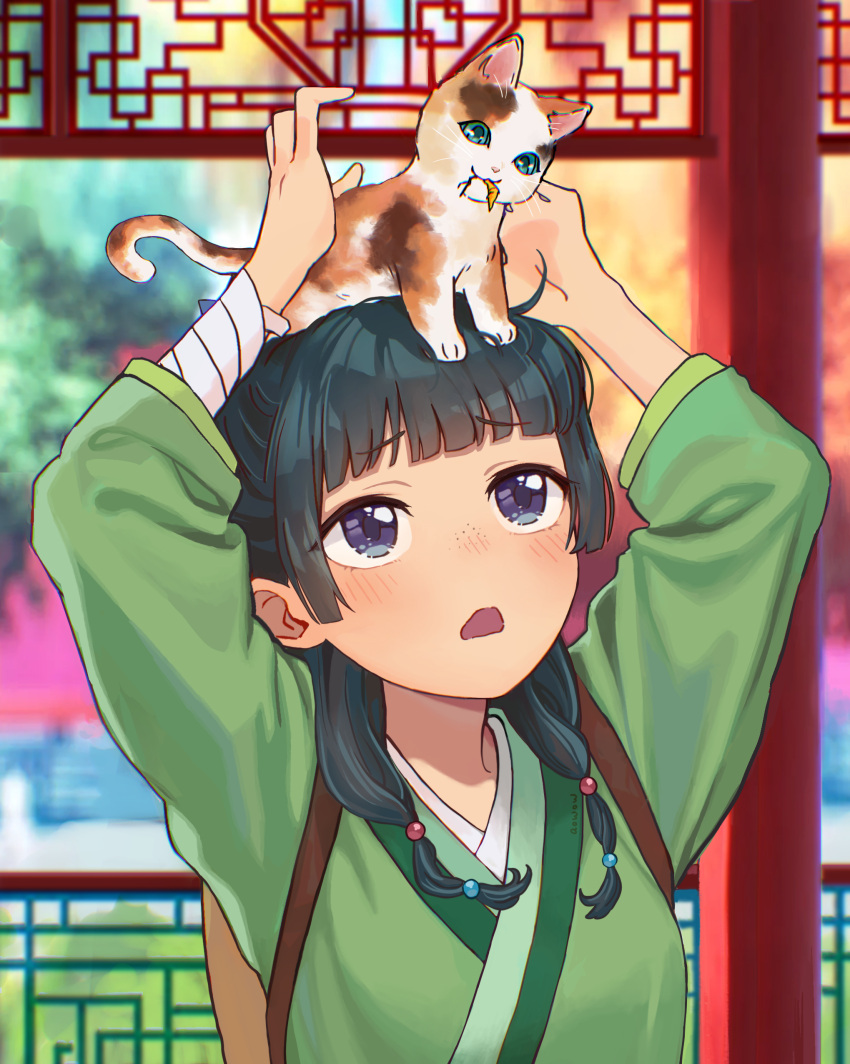Safebooru - 1girl 1other absurdres animal on head aowow bandaged arm ...