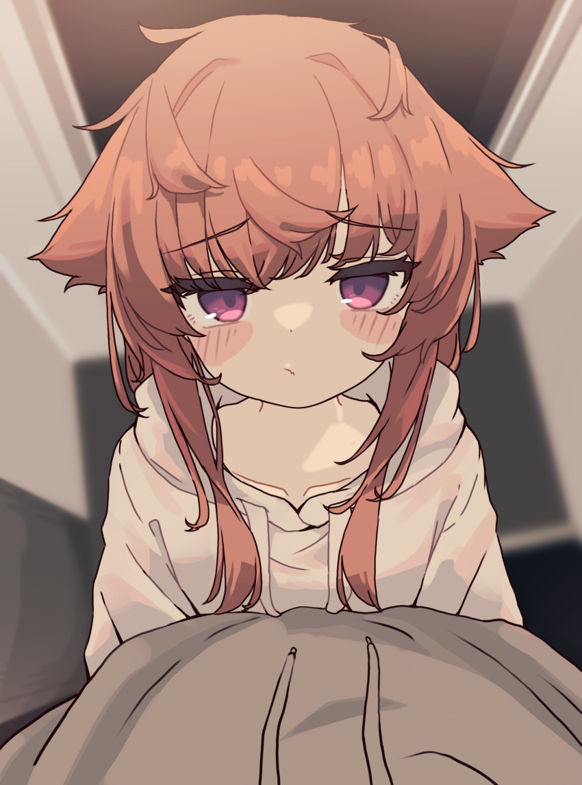 Safebooru - 1girl absurdres aoi tori blush brown hair closed mouth grey hoodie highres hood ...