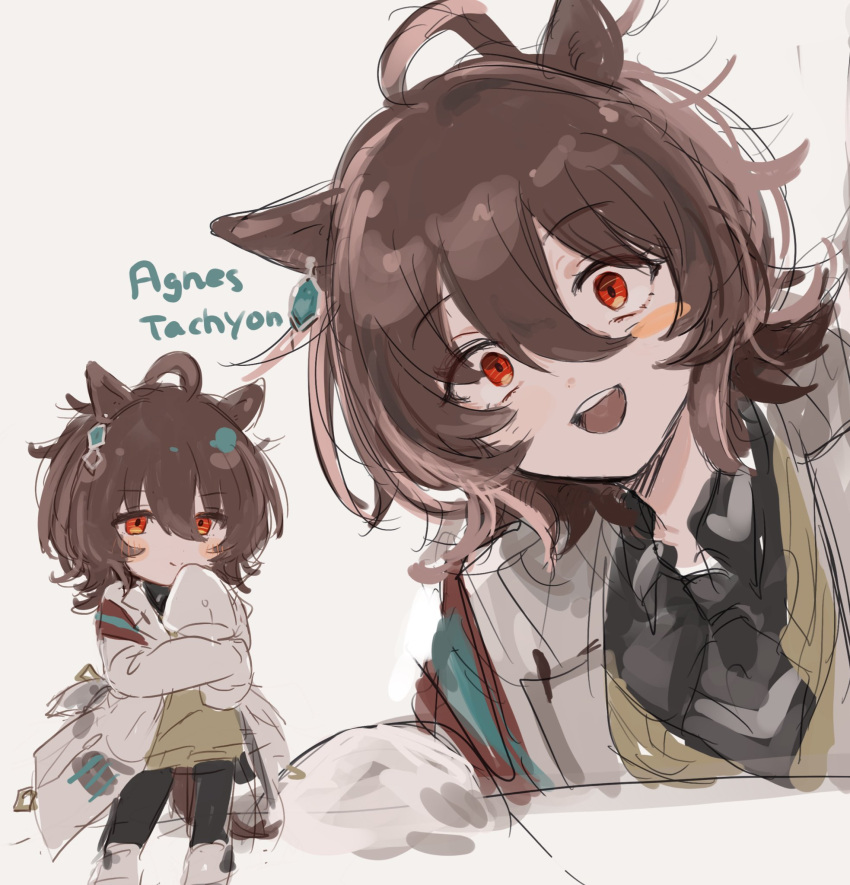 Safebooru - 1girl agnes tachyon (umamusume) ahoge animal ears brown hair collared shirt earrings ...