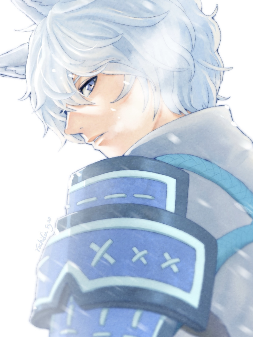 Safebooru - 1boy animal ears armor bishounen blue eyes blue rope from ...