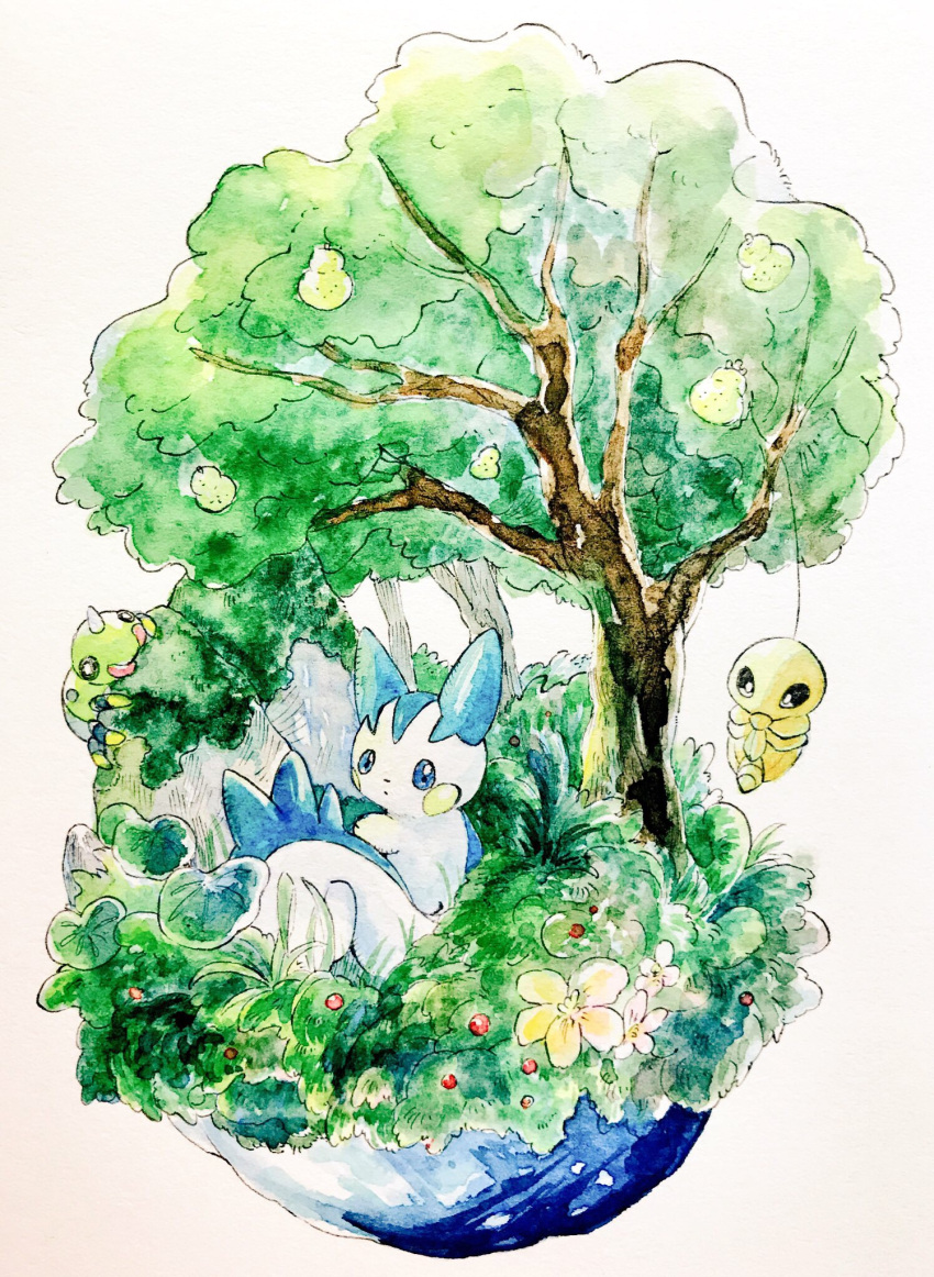Safebooru - berry (pokemon) blue eyes commentary request flower highres ...