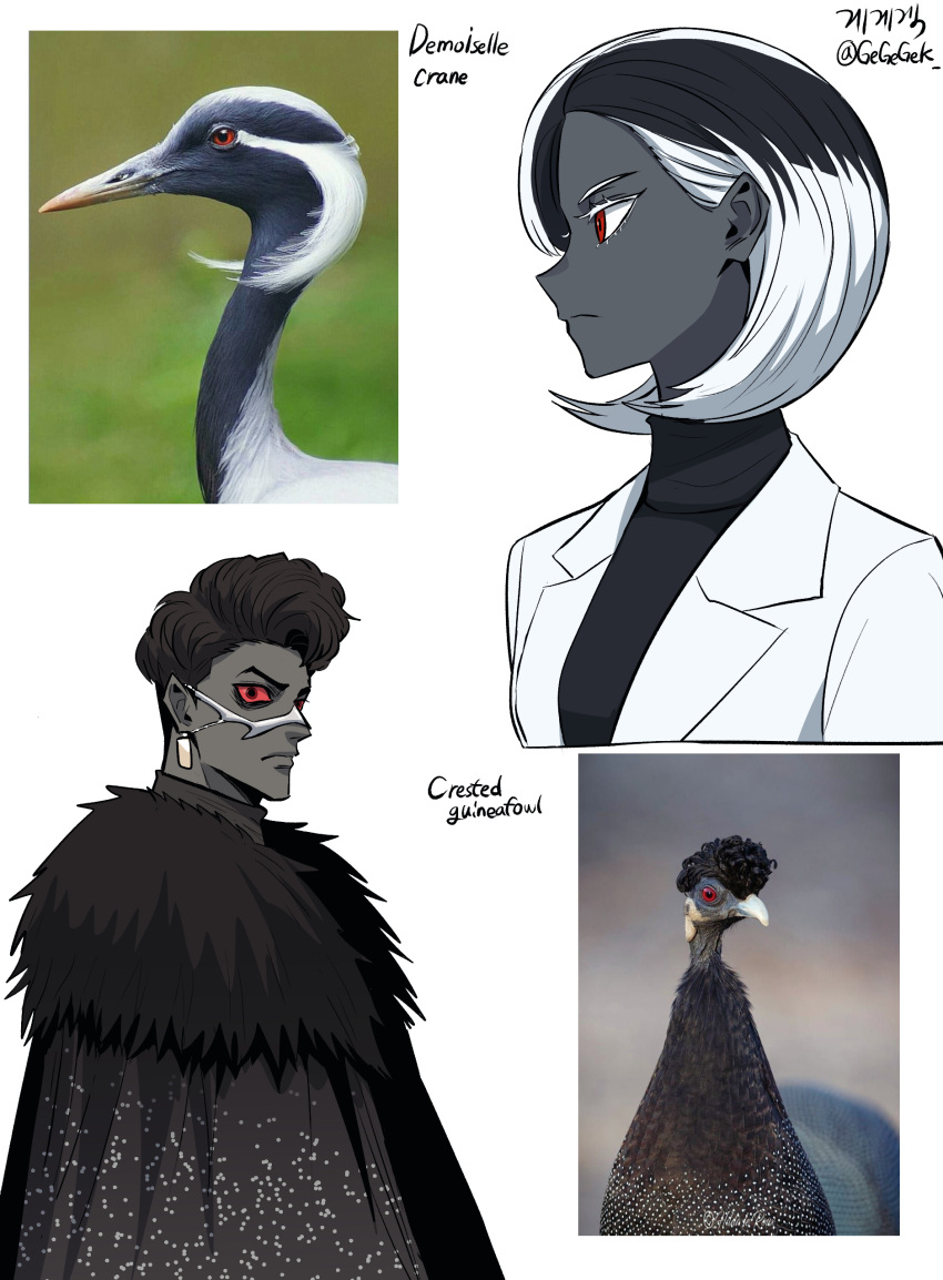 Safebooru - 1boy 1girl absurdres artist name bird bird boy bird girl black cape black fur black ...